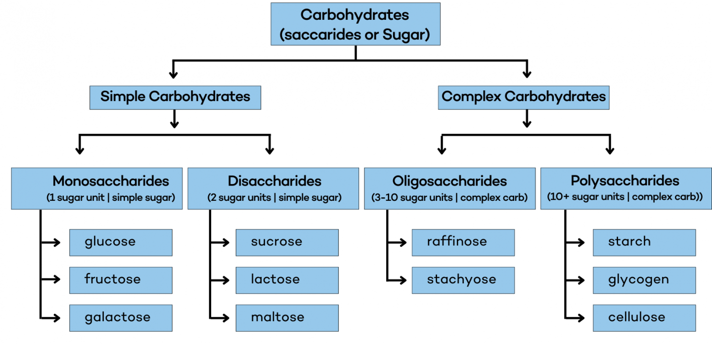 What Are Carbs? And What Do They Do To Us? - Dr. Robert Kiltz