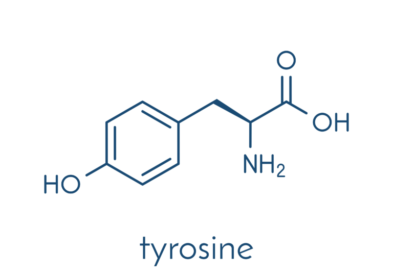 Top 28 Tyrosine-Rich Foods and Their Benefits - Dr. Robert Kiltz